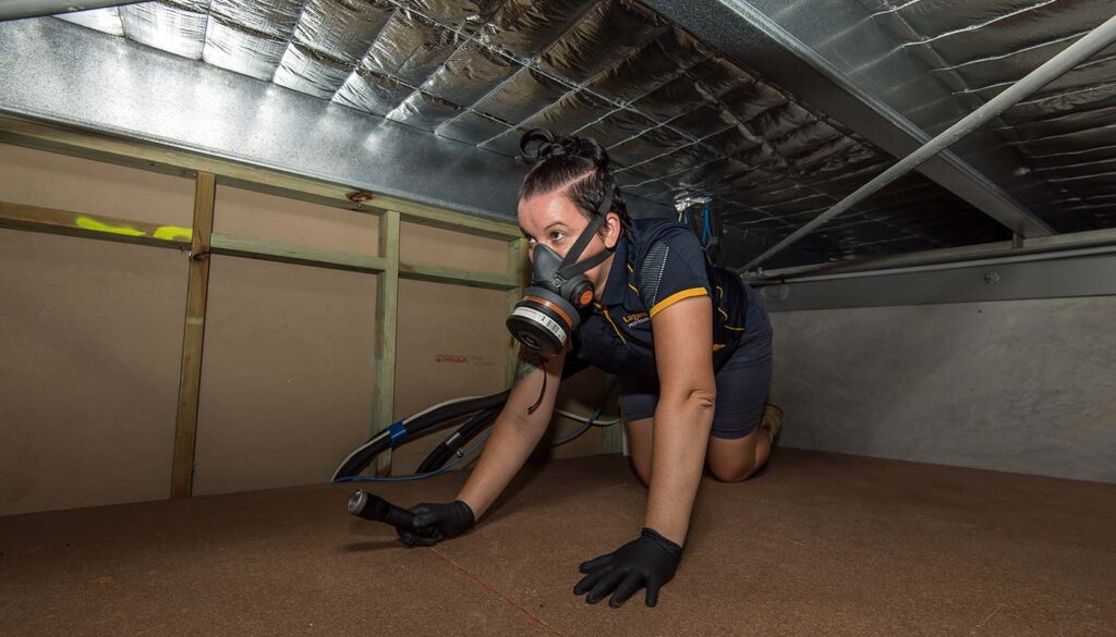 Everything You Need to Know About the QLD Roof Space Safety ...